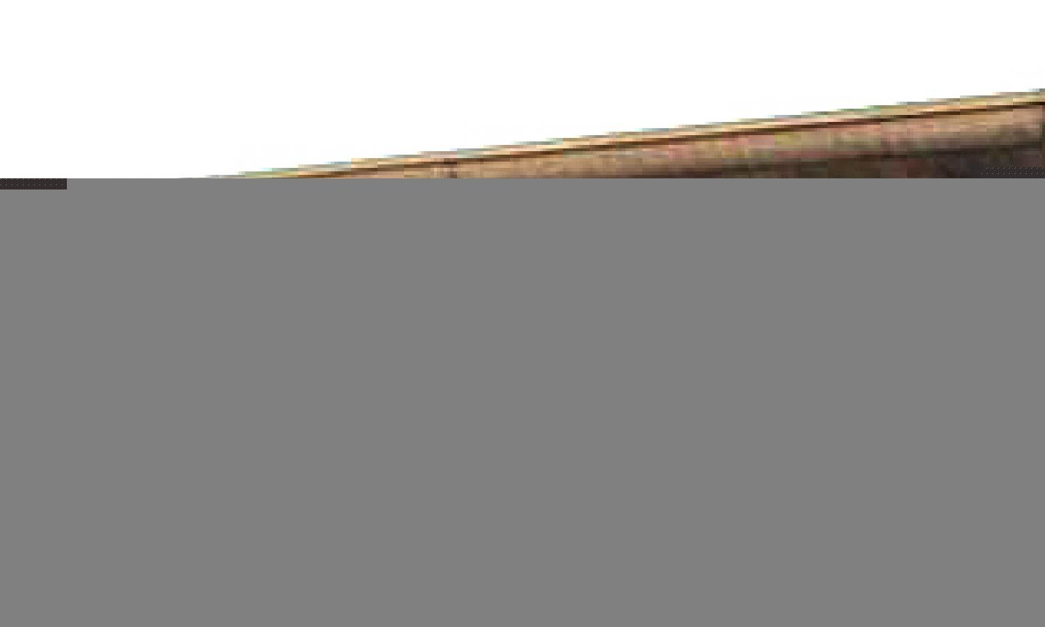 Punjab & Haryana High Court: Custody Of Prisoner Released On Bail ...