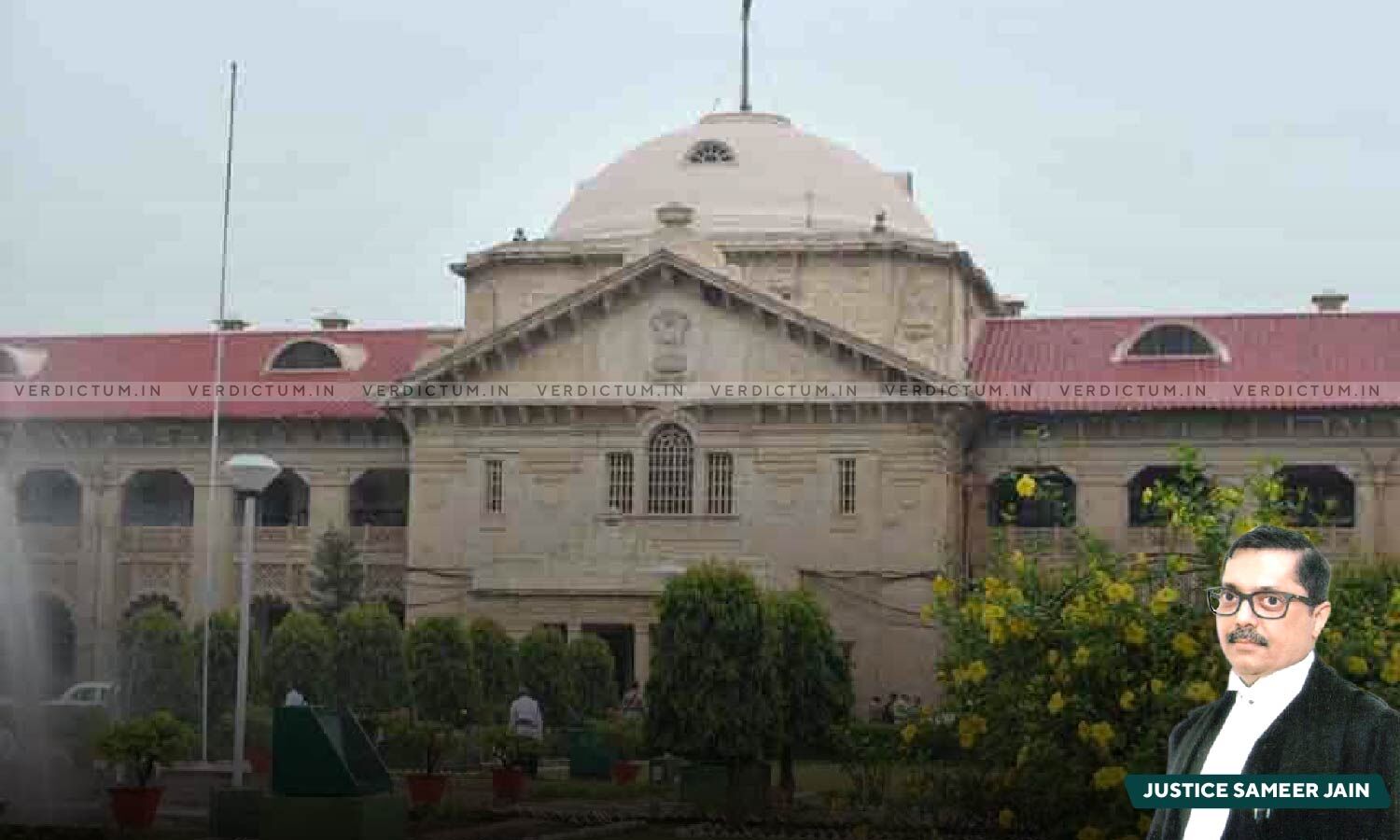 Sambhal Violence: Allahabad High Court Grants Bail To Masjid Chairman ...
