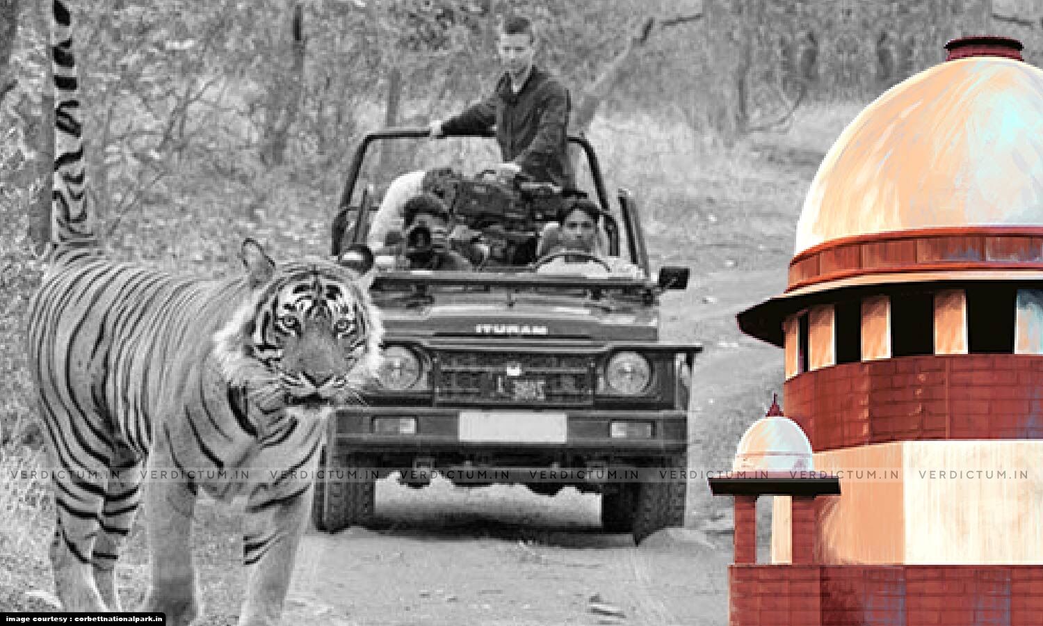 Jim Corbett National Park- SC Slams Former Uttarakhand Forest Minister ...